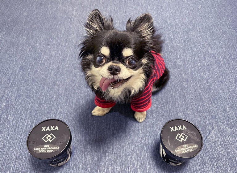 XAXA（ザザ）のプレミアムドッグフードを愛犬と実体験レビュー！ nademo ペットメディア【nademo [なでも]】